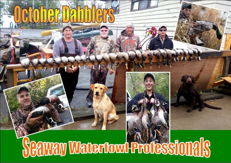 New York Puddle Duck Hunting - Bill Saiff Outdoors